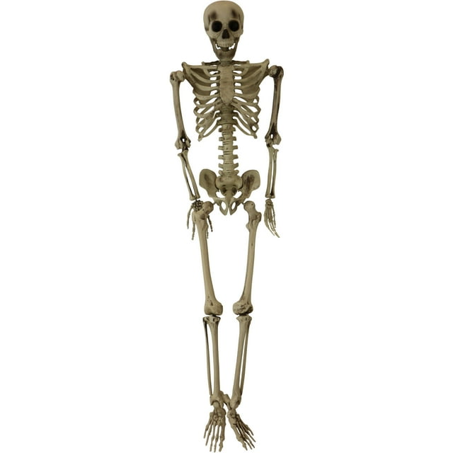 Life-Size Skeleton Prop, Indoor/Covered Outdoor Halloween Decoration ...
