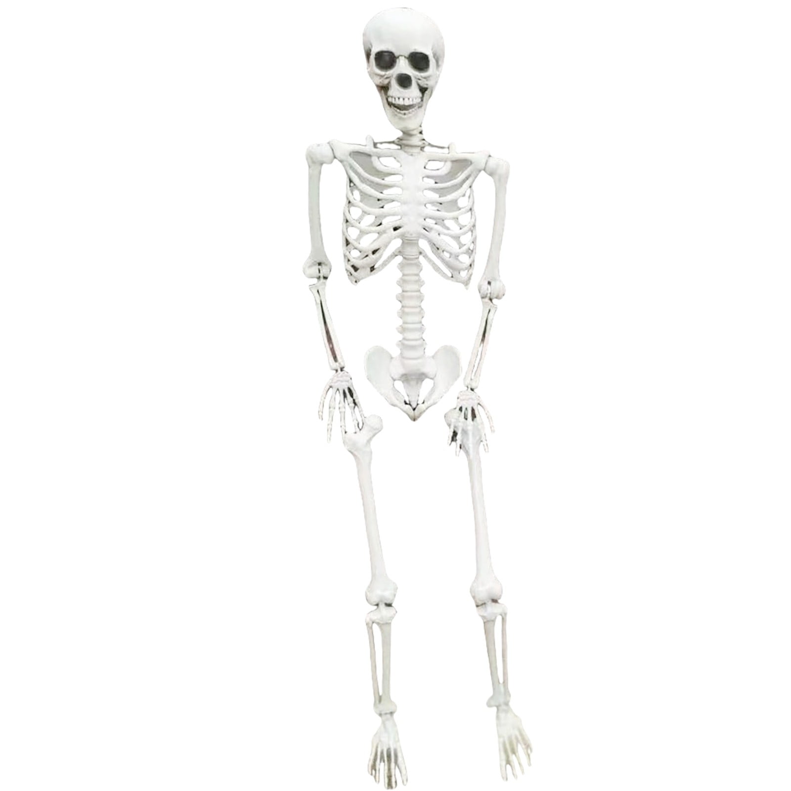 Life Size Skeleton Skeleton Halloween Outdoor Decorations Realistic ...