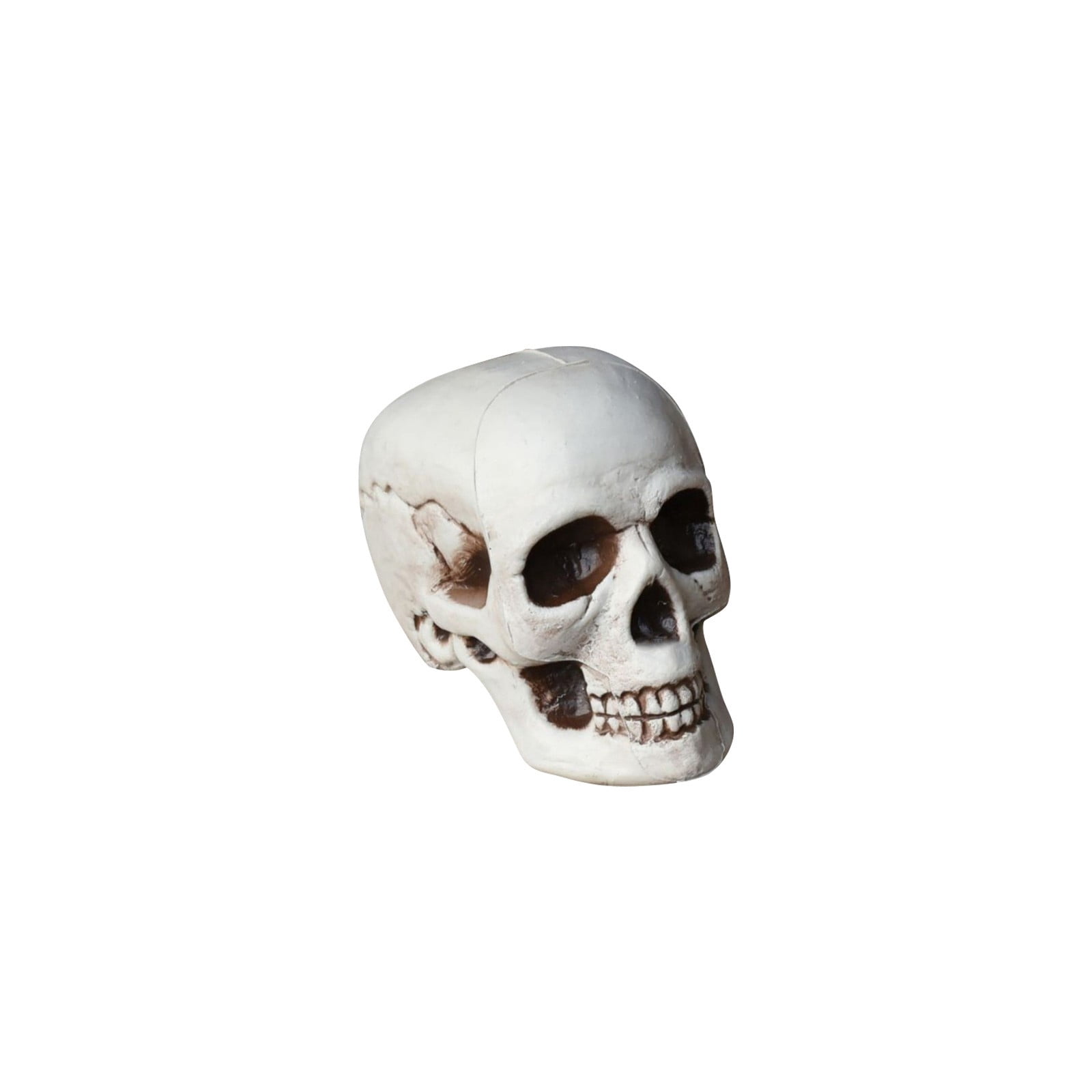 Life Size Skeleton Skull Skeleton Head Table Decor, Halloween Prank ...