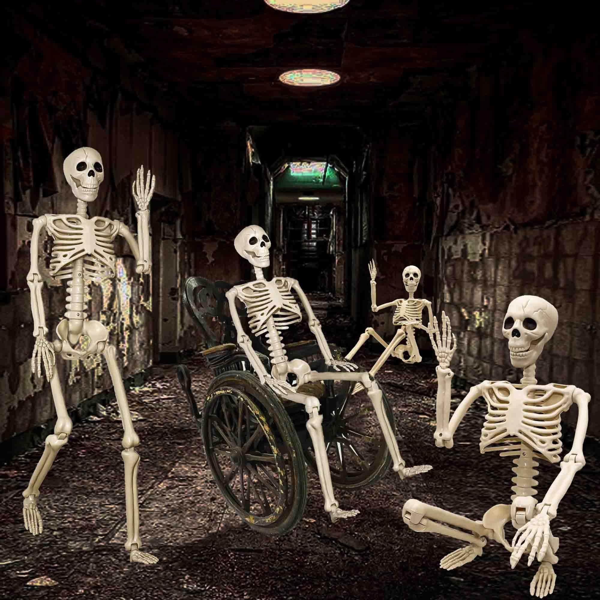 Life Size Skeletons Posable Skeletons Full Size Plastic Human Skeleton ...