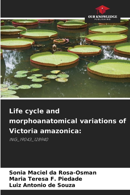 Life cycle and morphoanatomical variations of Victoria amazonica ...