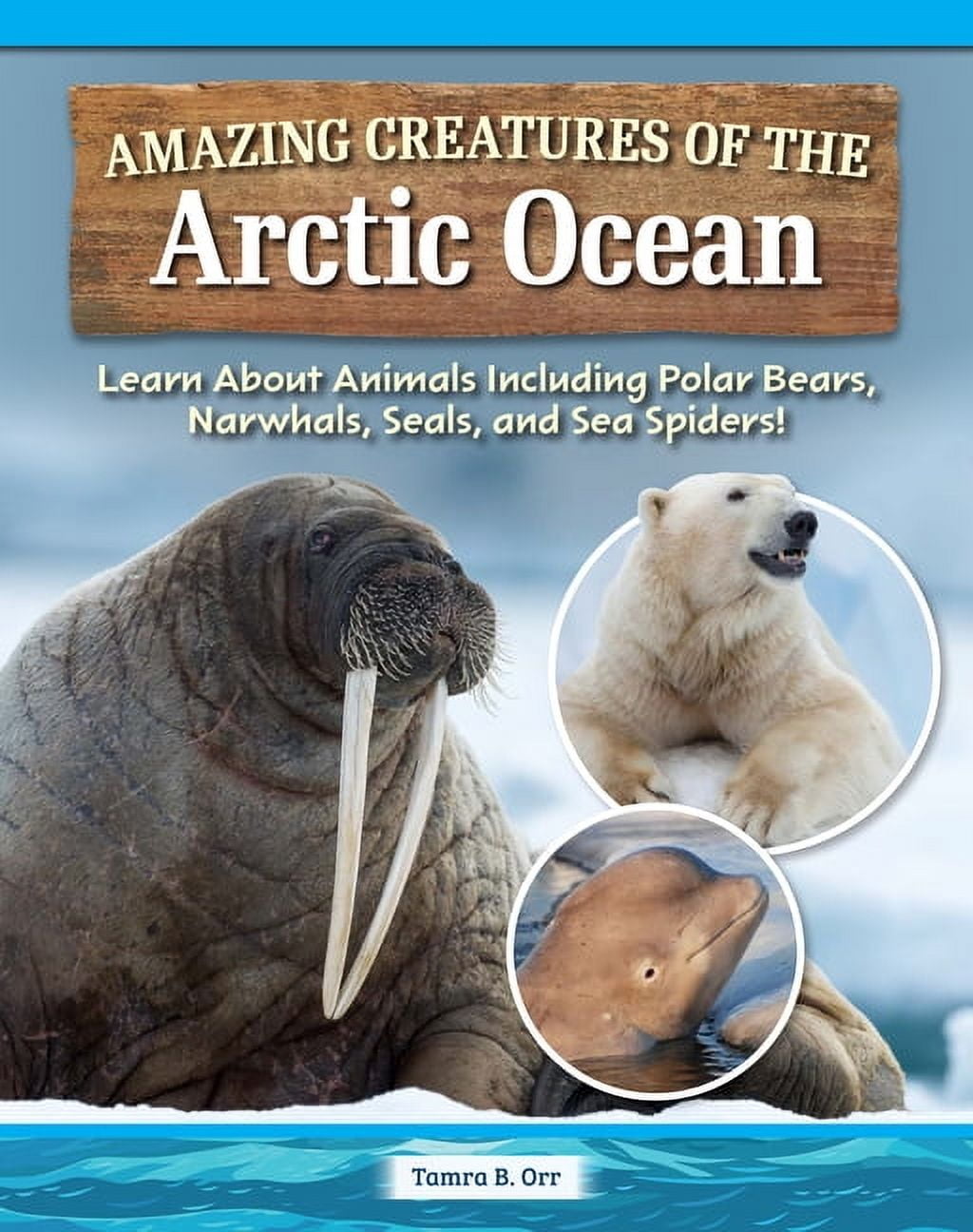 Amazing Creatures of the Arctic Ocean: Learn about Animals Including Polar Bears, Narwhals ...