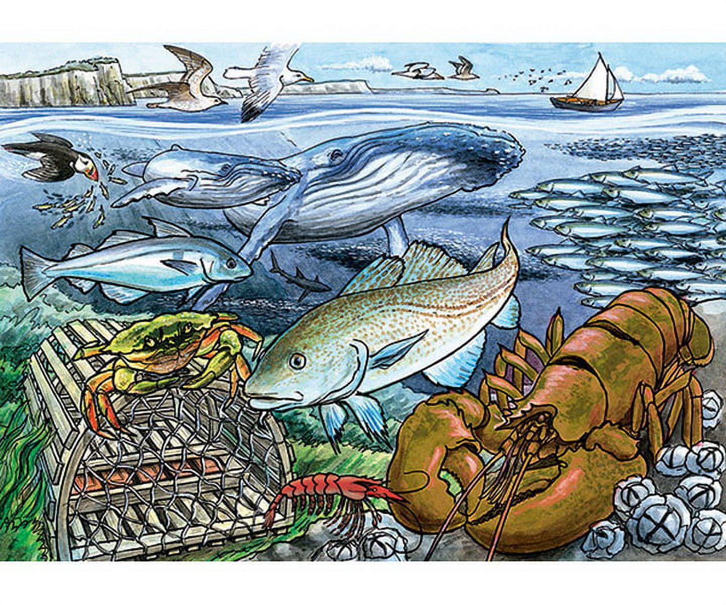 Life in the Atlantic Ocean, a 35-piece Puzzle by Cobble Hill - Walmart.com