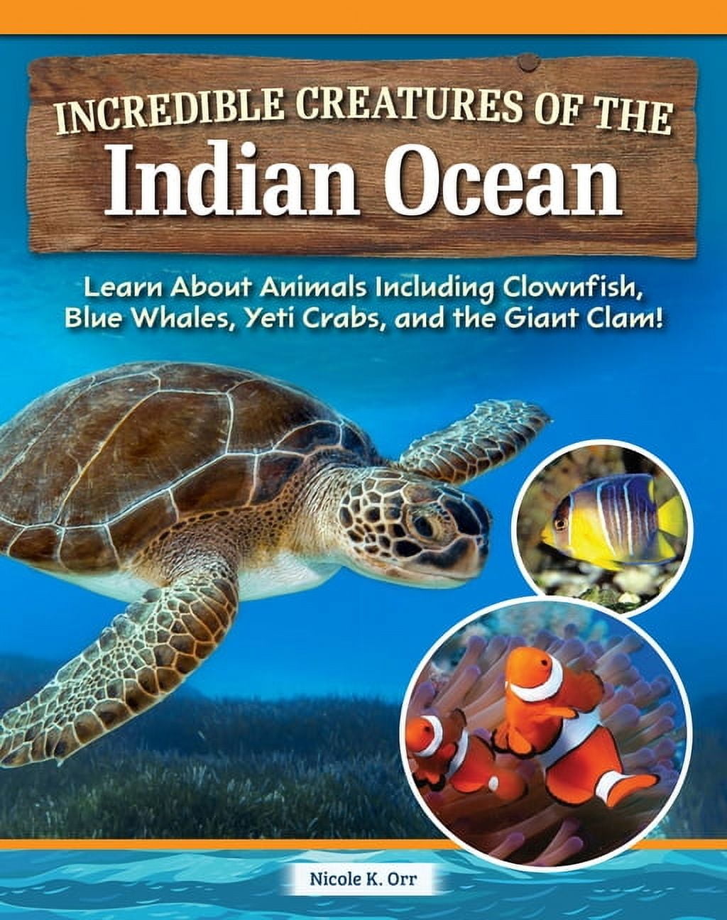 Incredible Creatures of the Indian Ocean: Learn about Animals Including ...