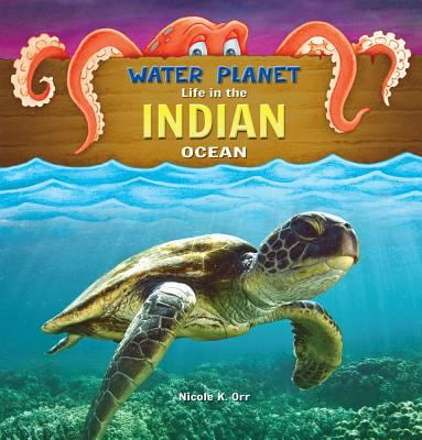 Pre-Owned Indian Ocean (Hardcover) 1624693326 9781624693328 - Walmart.com