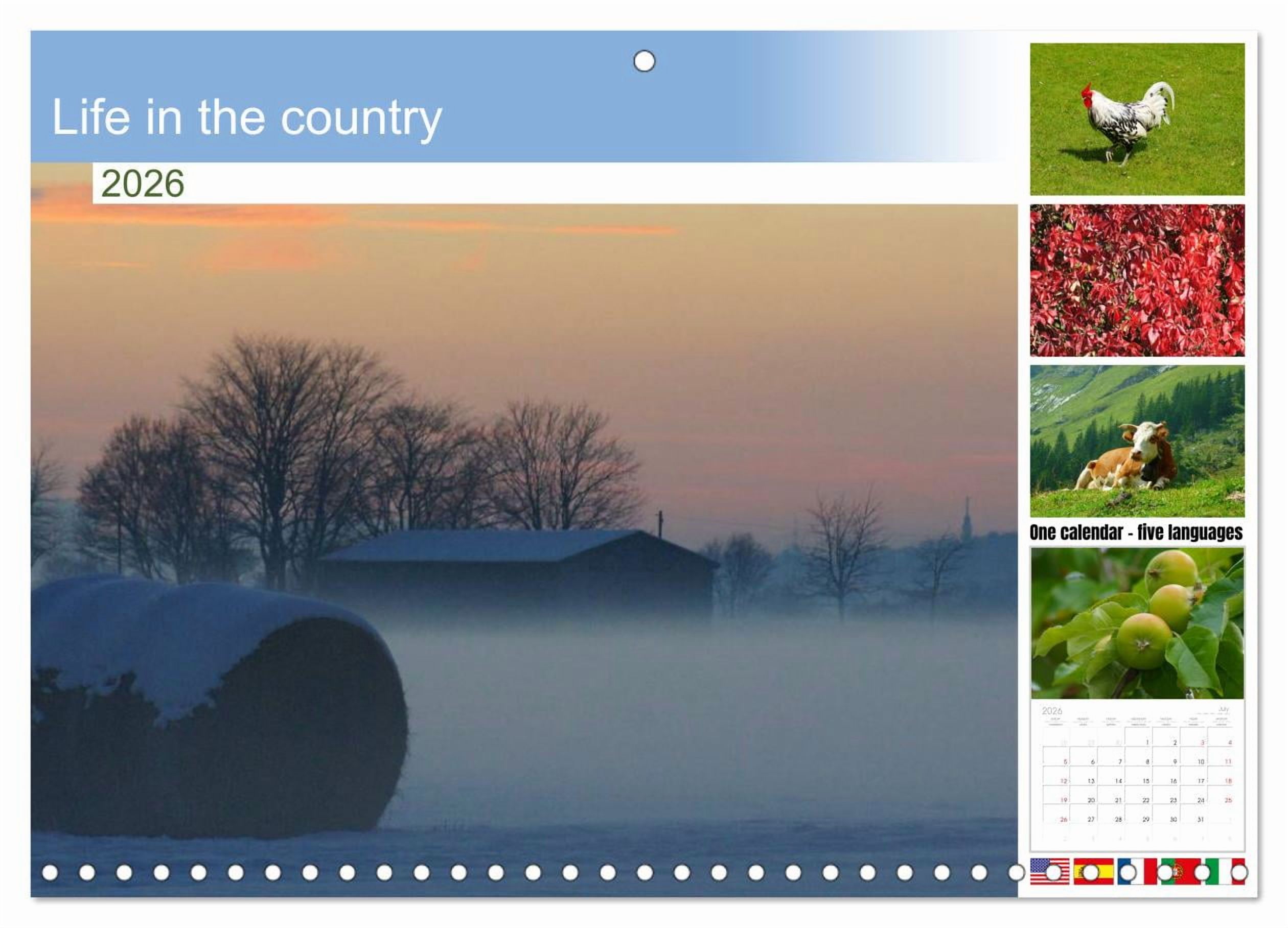 Life in the country (Monthly Wall Calendar 2026 16.5 x 23.4 (open ...