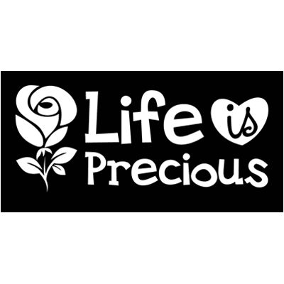 Life is Precious Pro-Life Vinyl Cut-Out Sticker - Walmart.com