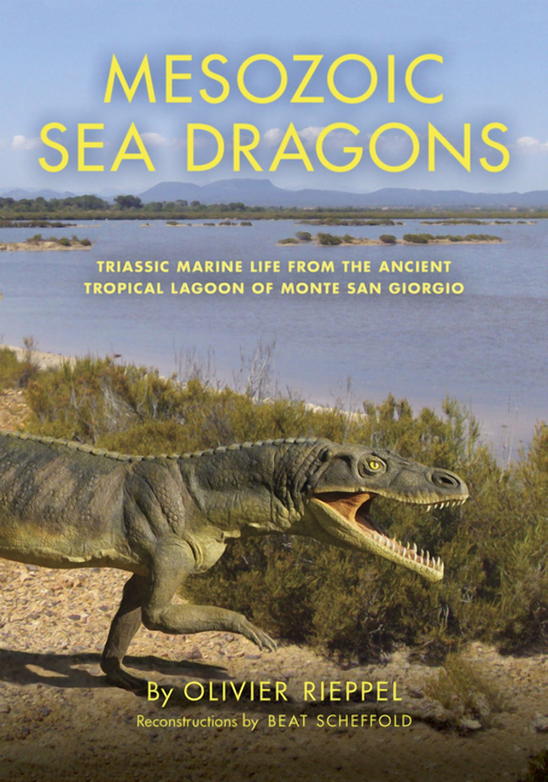 Life of the Past Mesozoic Sea Dragons: Triassic Marine Life from the ...