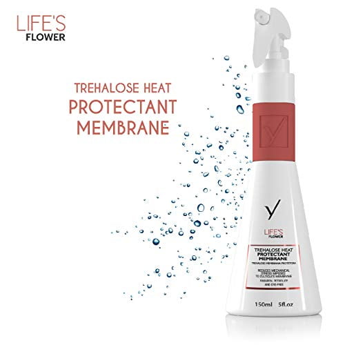 Life’s Flower Membrane | Hair Heat Protectant | Self-Renewing Hydration ...