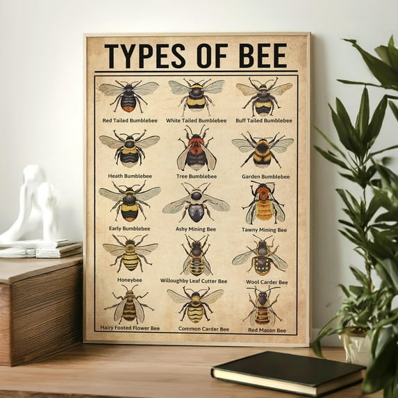 LifePlus All About Bee, Knowledge Poster, Types Of Bees Poster, Bee ...