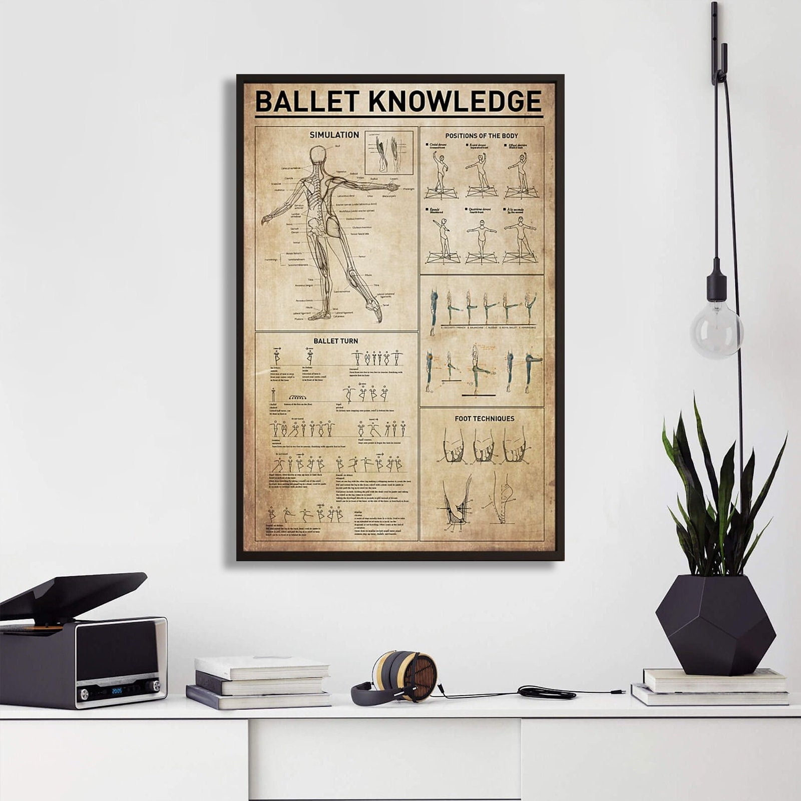 LifePlus Ballet Knowledge Vertical Poster, Ballet Wall Decoration ...