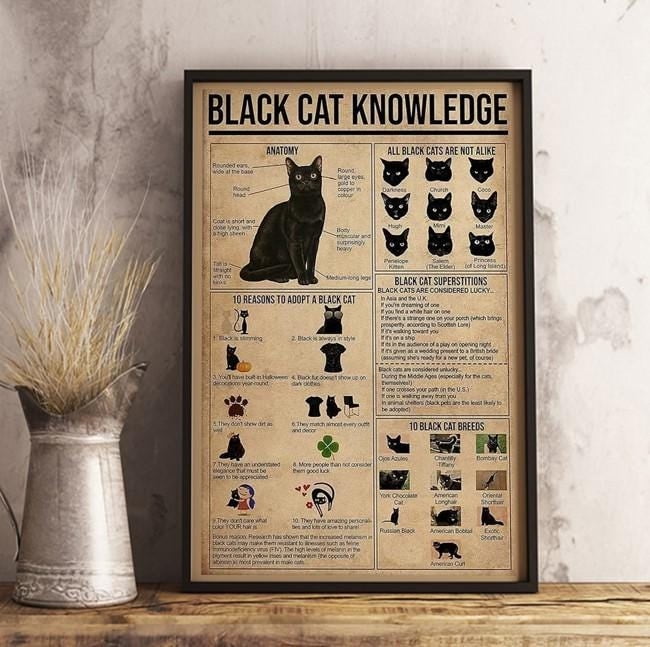 LifePlus Black Cat Knowledge Poster | Cat Anatomy, Breeds ...