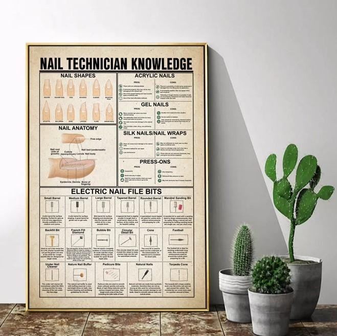 LifePlus Nail Technician Knowledge Poster, Nail Anatomy, Nail Shapes ...