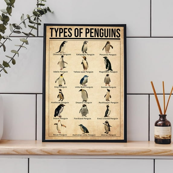 LifePlus Types of Penguins poster, Penguin Species Art Print,Ocean ...