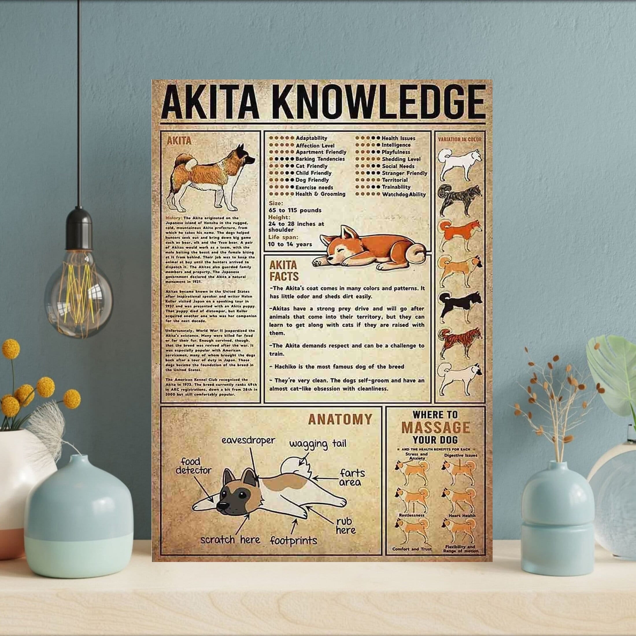 LifePlus Unframed Akita Inu Knowledge Poster, Akita Inu Breed Details ...