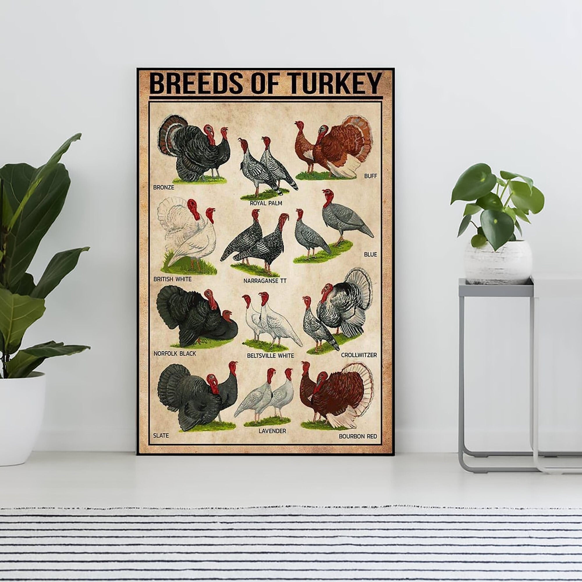 LifePlus Unframed Breeds Of Turkey Poster, Turkey Lover Gift, Turkey ...