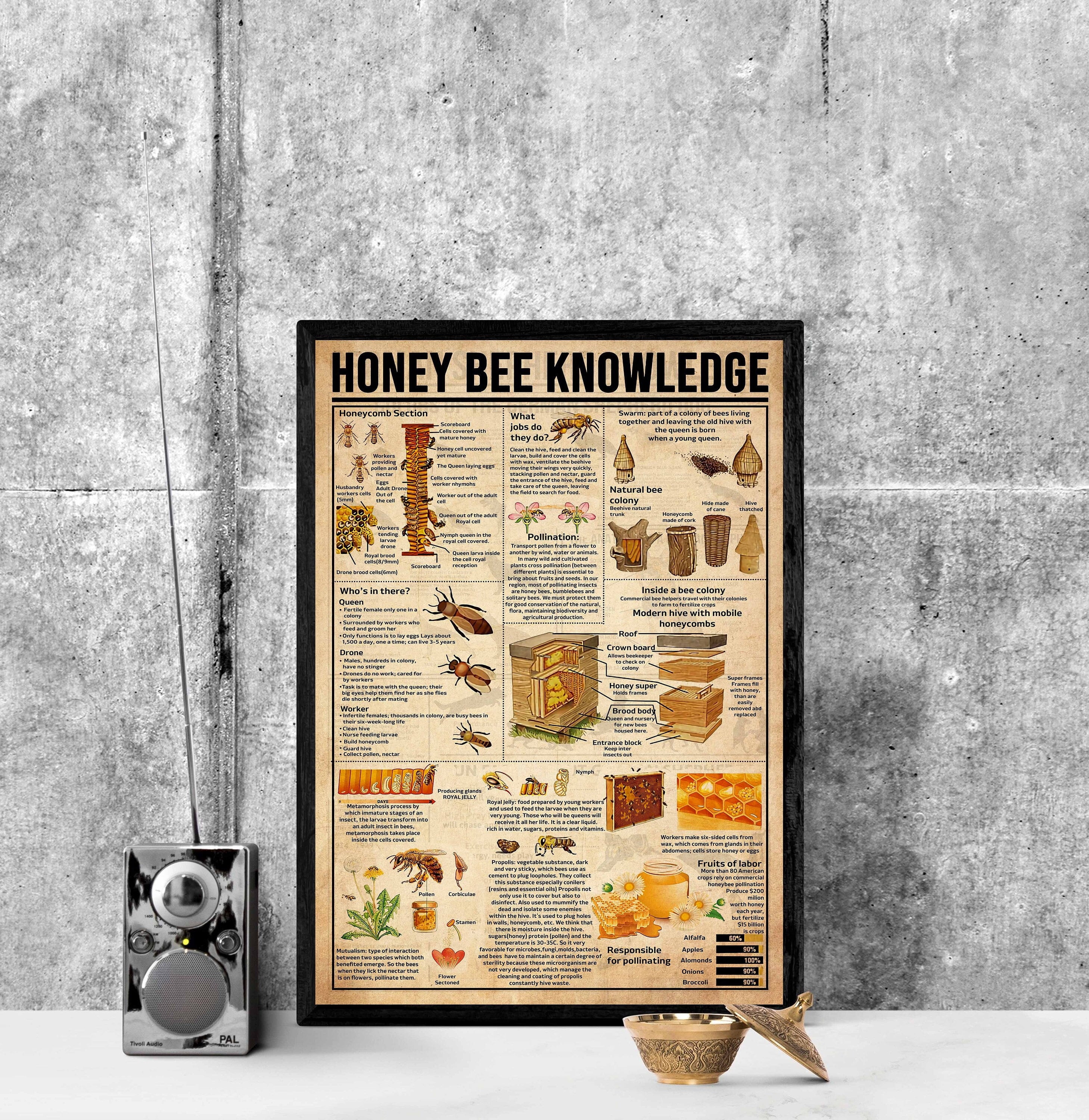 LifePlus Unframed Honey Bee Knowledge, Honey Bee Poster, All About ...