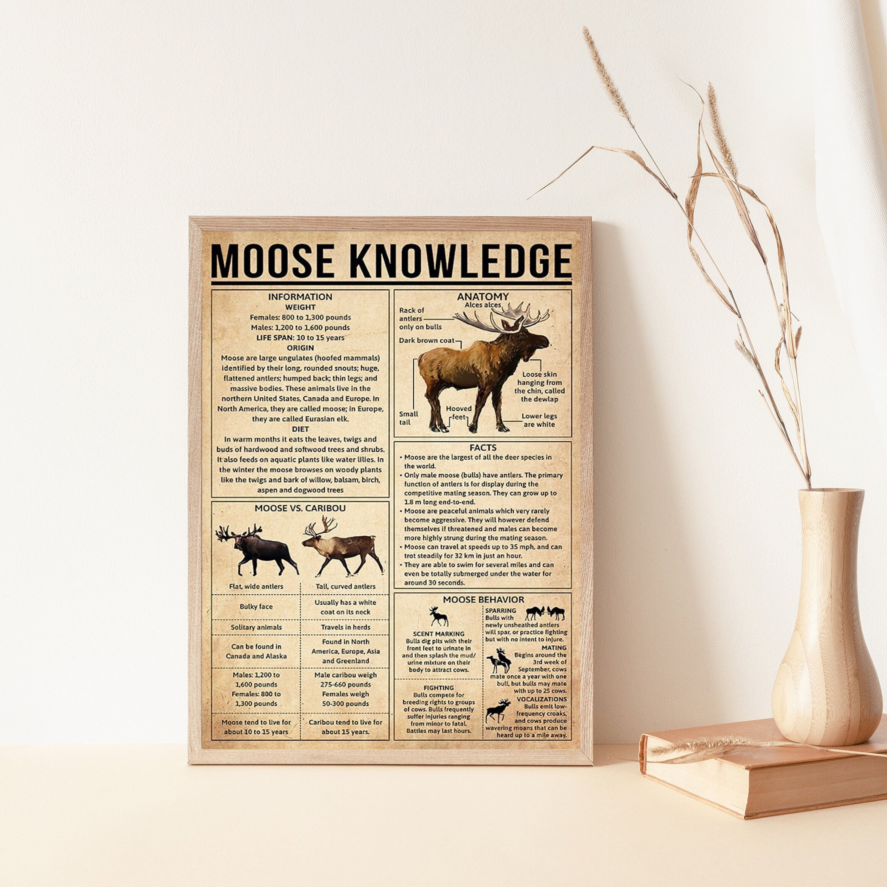 LifePlus Unframed Moose Knowledge Poster, The Anatomy Of A Moose, Moose ...