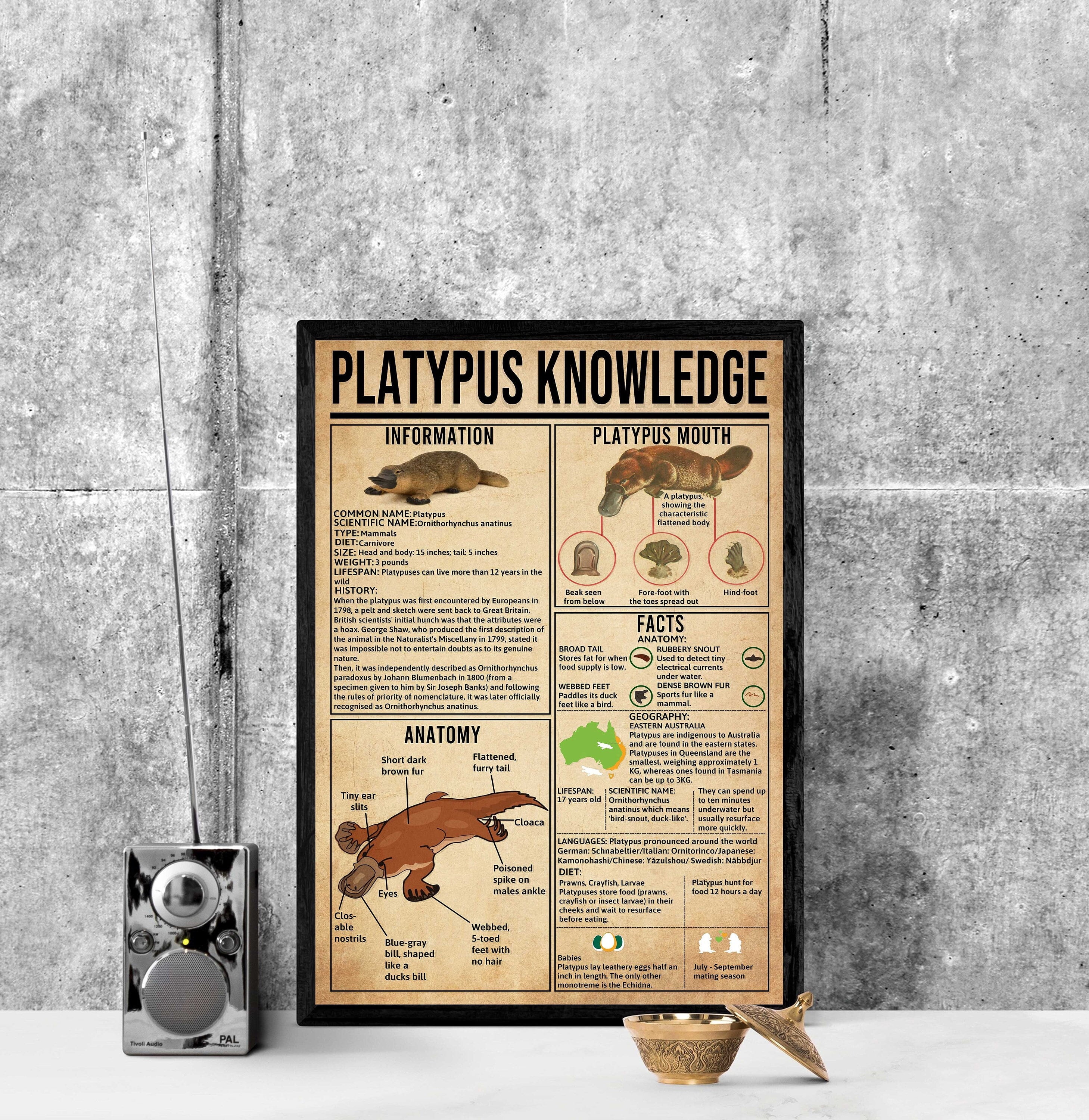 LifePlus Unframed Platypus Knowledge Vertical Poster, Platypus Lover ...