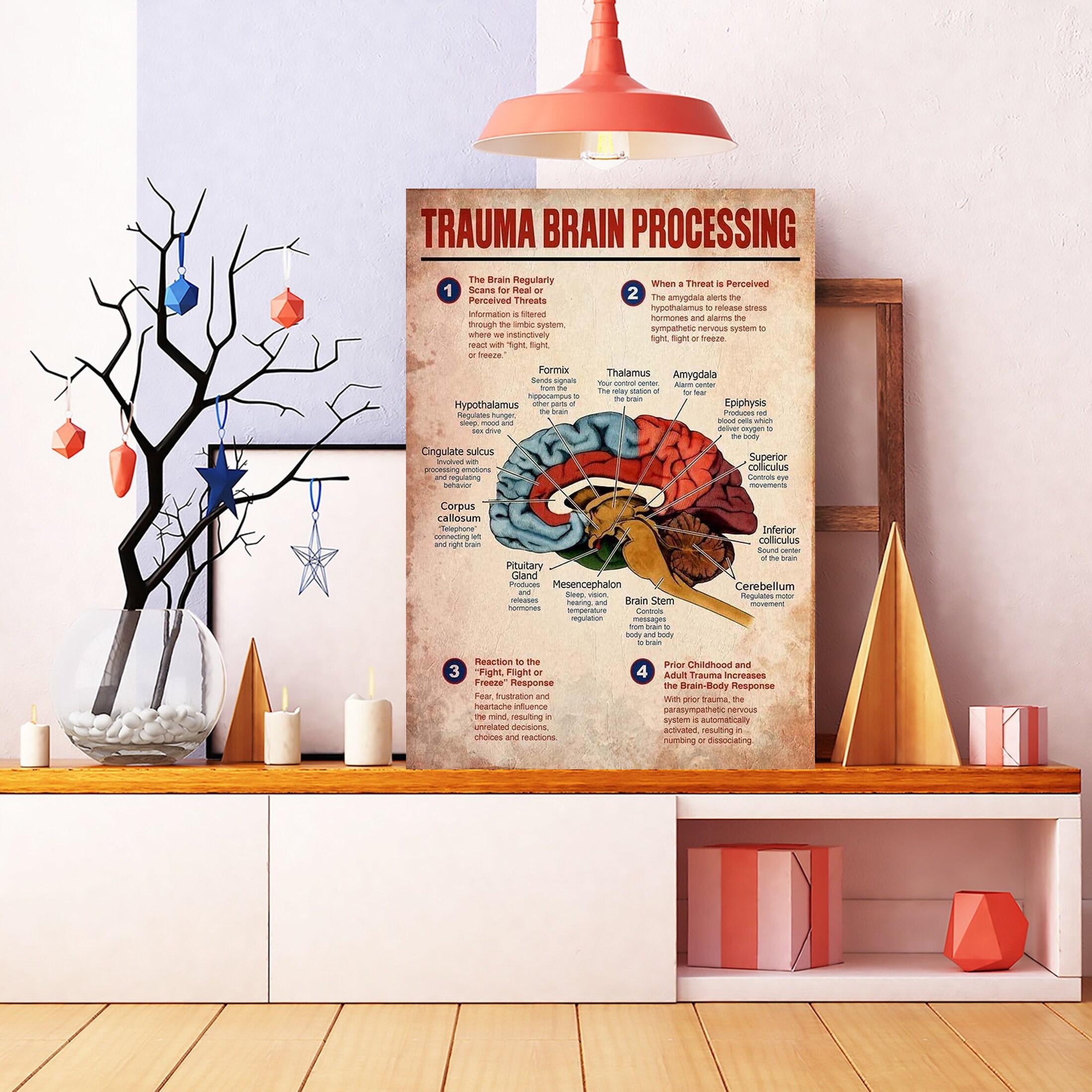 LifePlus Unframed Trauma Brain Processing Knowledge Poster, Human Brain Poster, Trauma and the ...