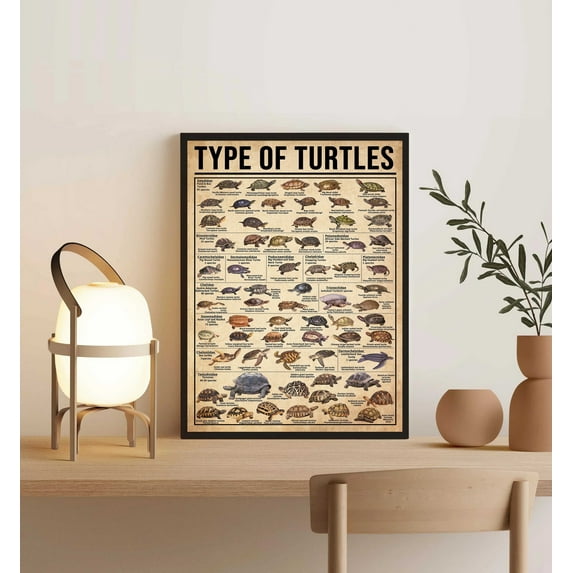 LifePlus Unframed Types Of Turtles Poster, Turtle Lover Gift, Turtle Poster, Tortoises Of ...