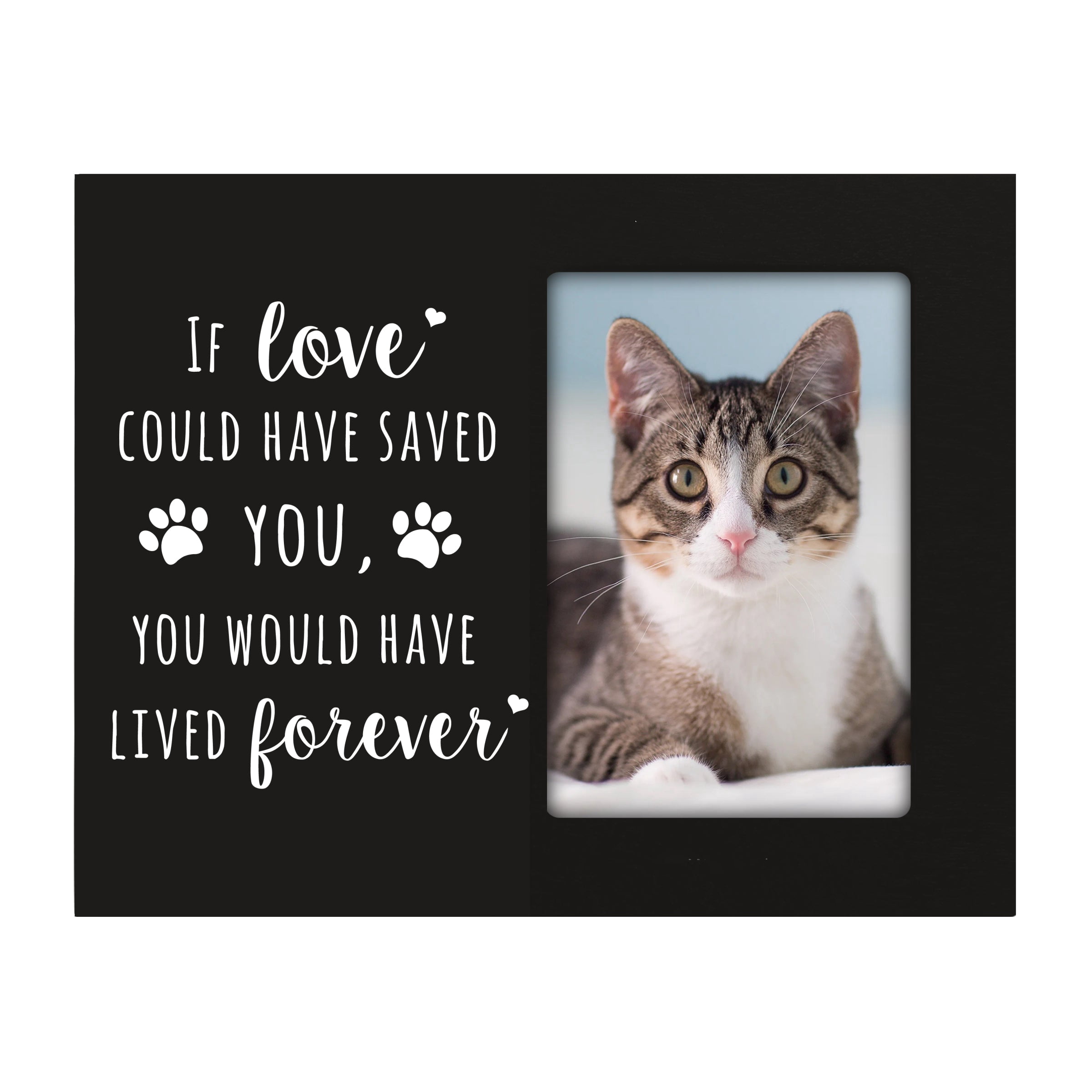 LifeSong Milestones Rustic Pet Memorial Gifts Tabletop Picture Frame ...