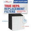 Genuine Winix Replacement Filter E for P450 and B451 - Walmart.com