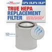 Austin Air Healthmate Filter FR400A - Black, Replacement for HM400 ...
