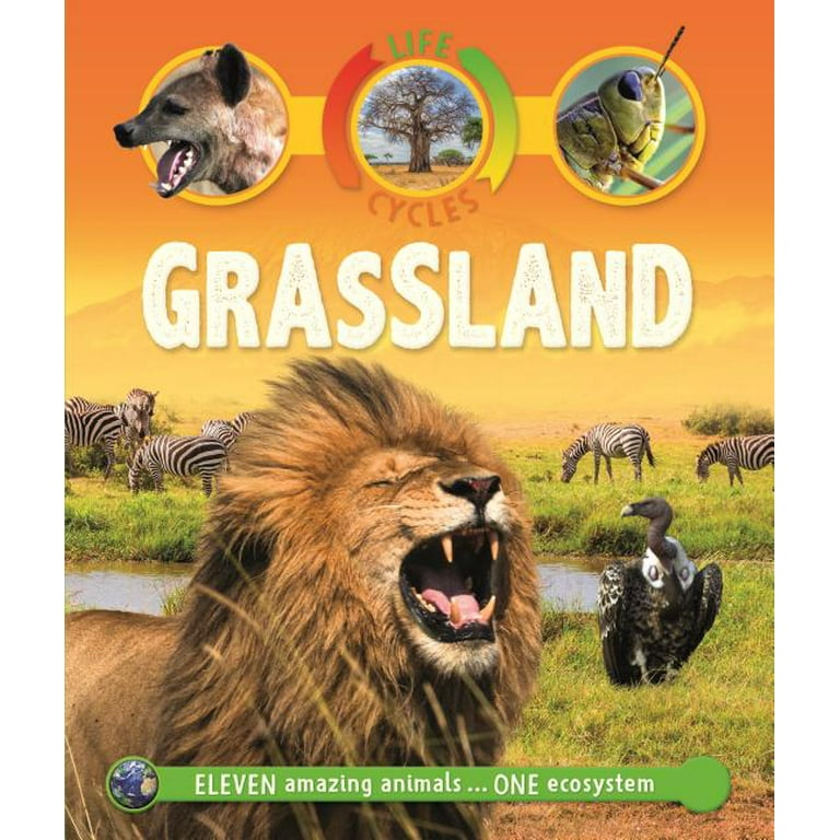 Grassland Food Chains
