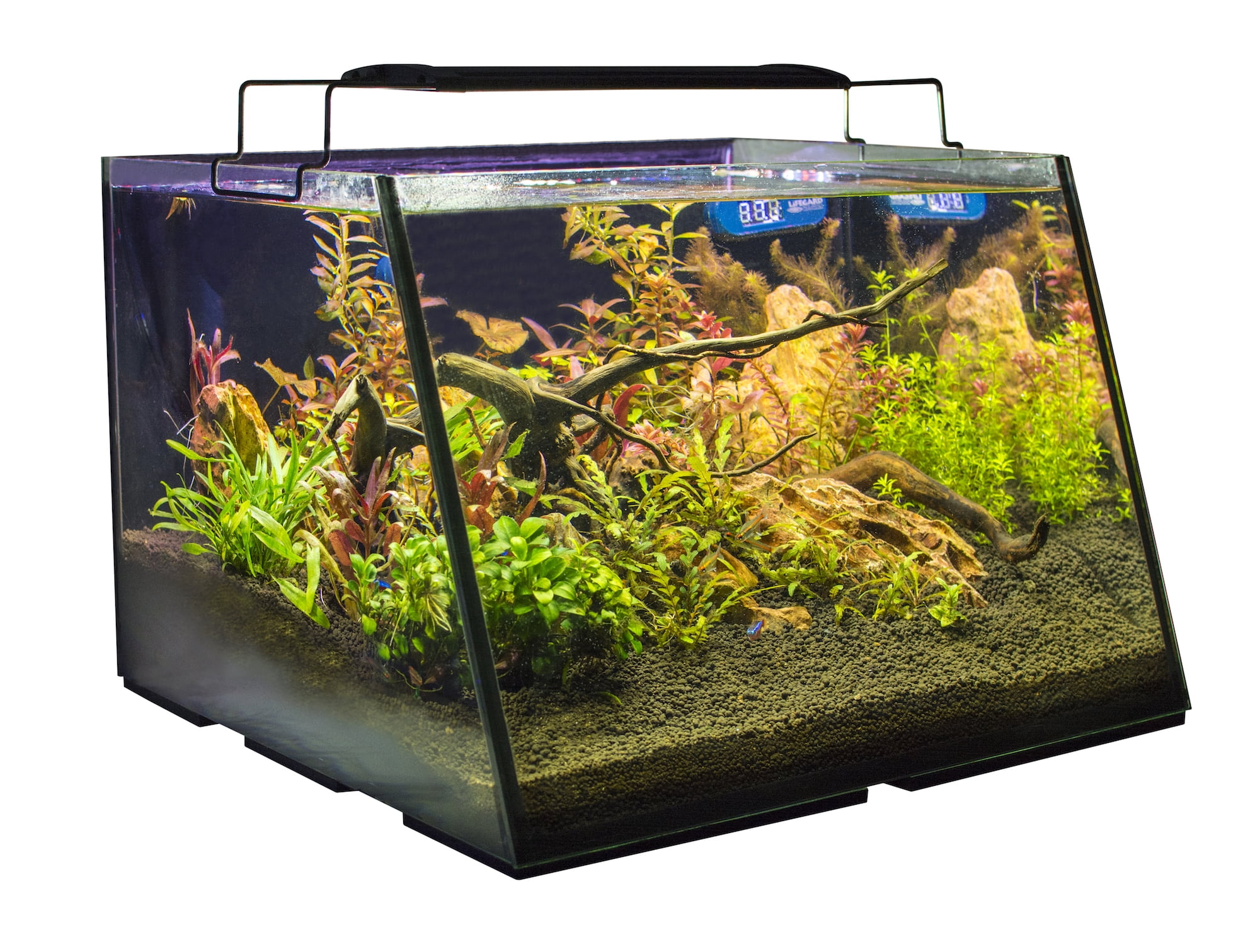 Lifegard Full-View 7 Gallon Aquarium with LED Light, Submersible Filter ...