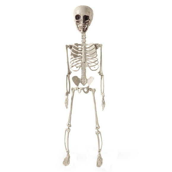 Poseable Skeleton
