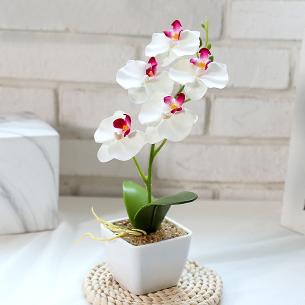 Lifelike 5head Phalaenopsis Flower Design Perfect Addition to Any Space ...