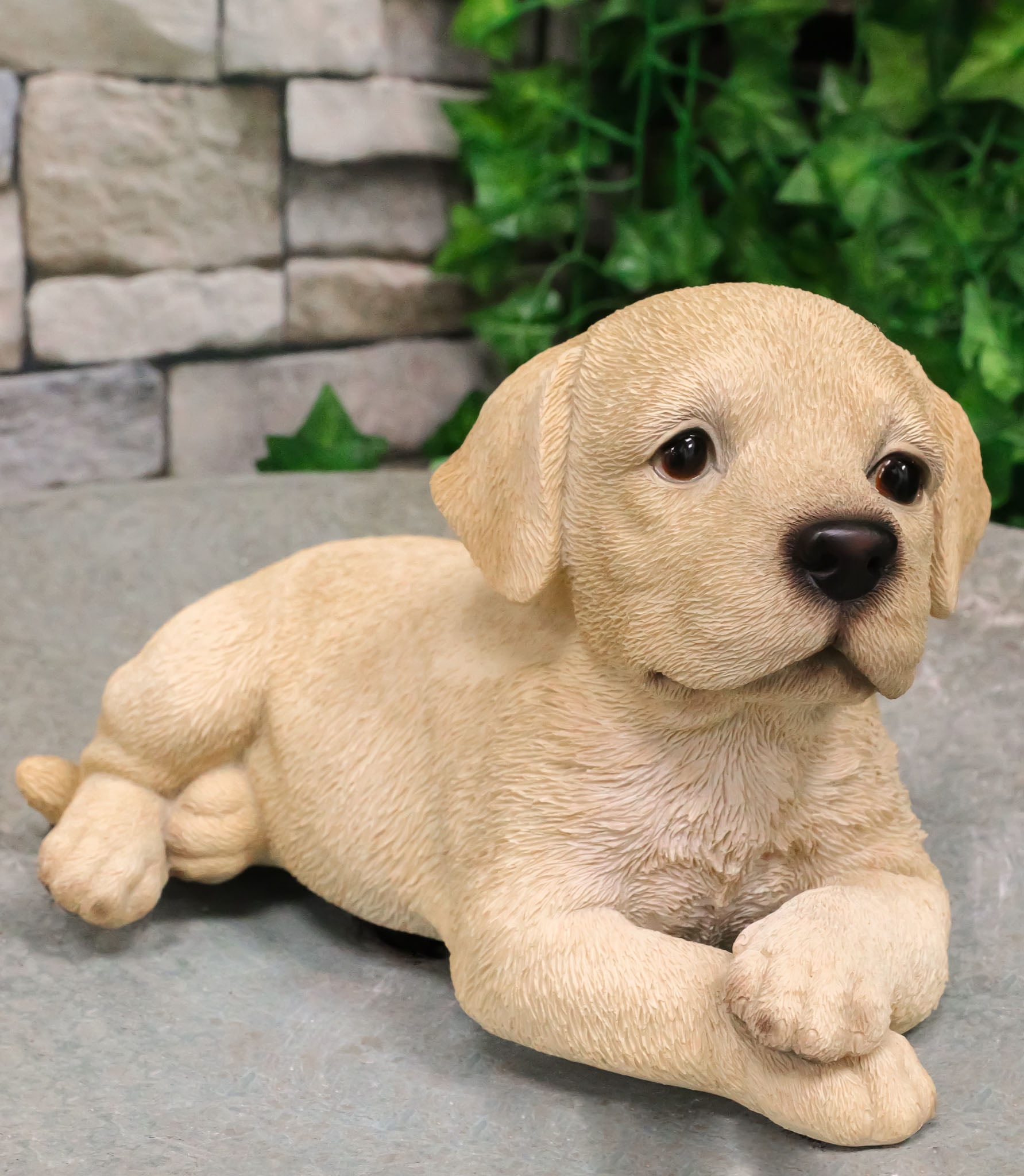 Lifelike Adorable Labrador Puppy Dog Lying On Belly With Crossed Arms ...