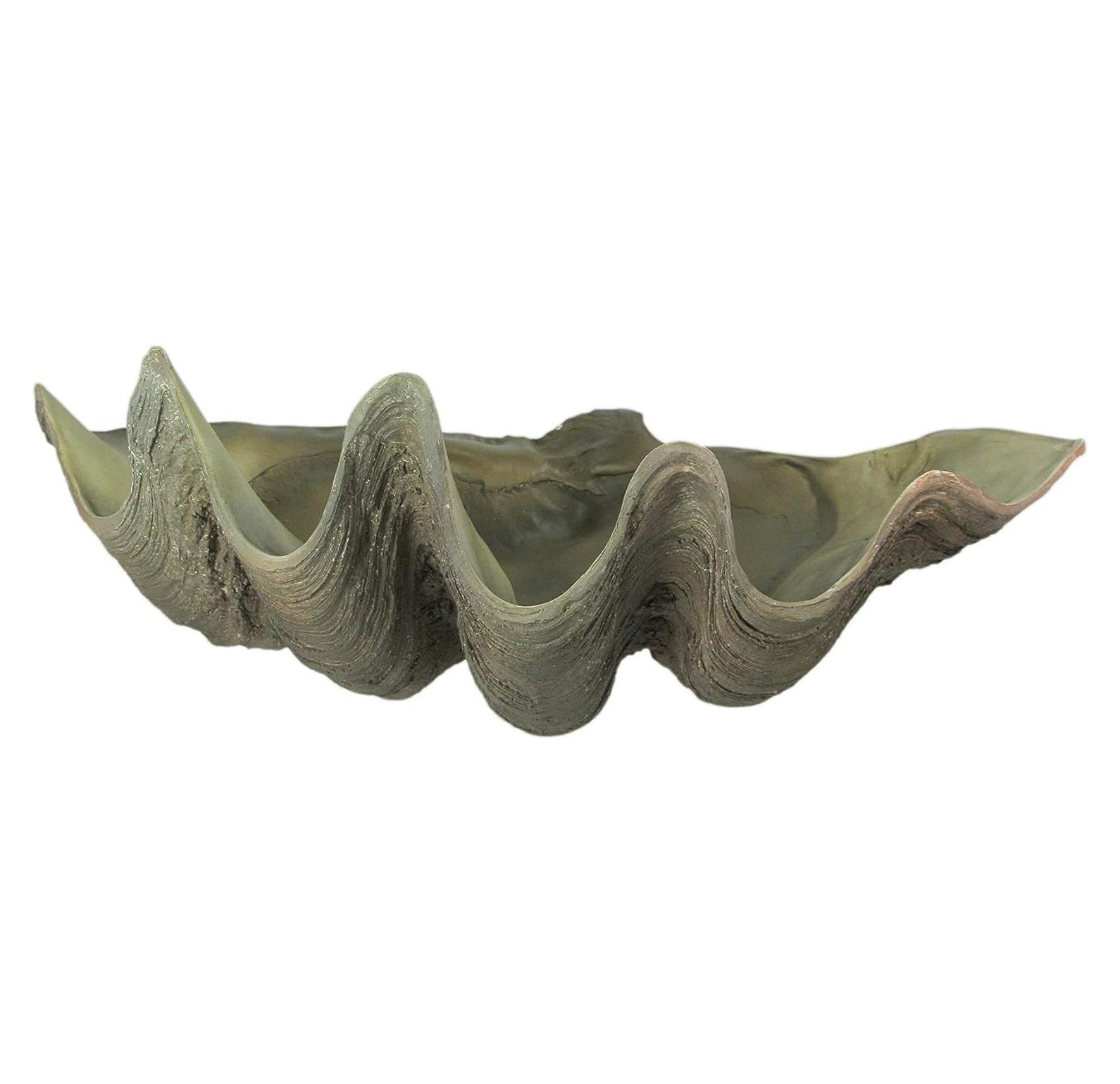Lifelike Cast Polyresin Giant Clam Shell Decorative Bowl - Walmart.com