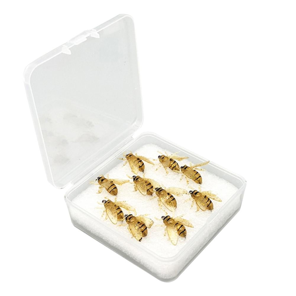 Lifelike Hand-Painted Insect Bait for Increased Fishing Success ...