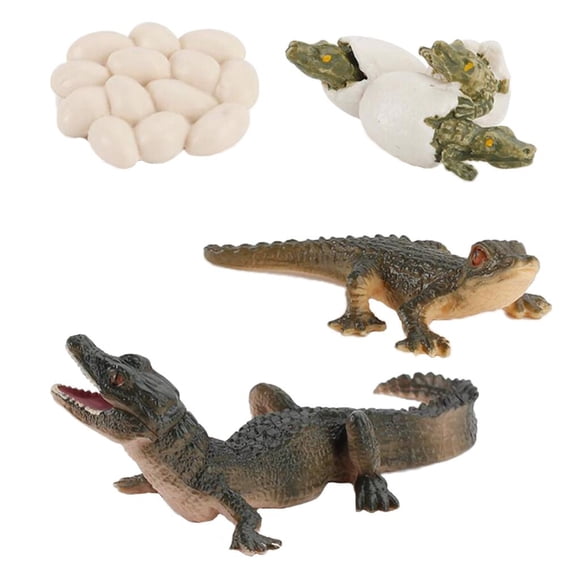 Alligator Toy