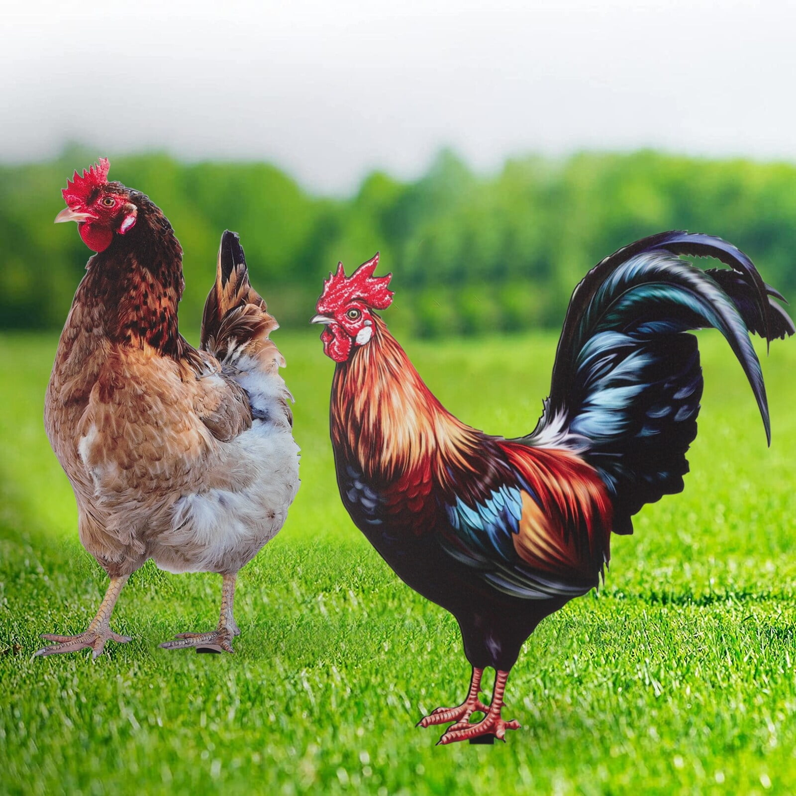 Lifelike Rooster Hen Chicken Sign Multi Rooster/Hen - Walmart.com