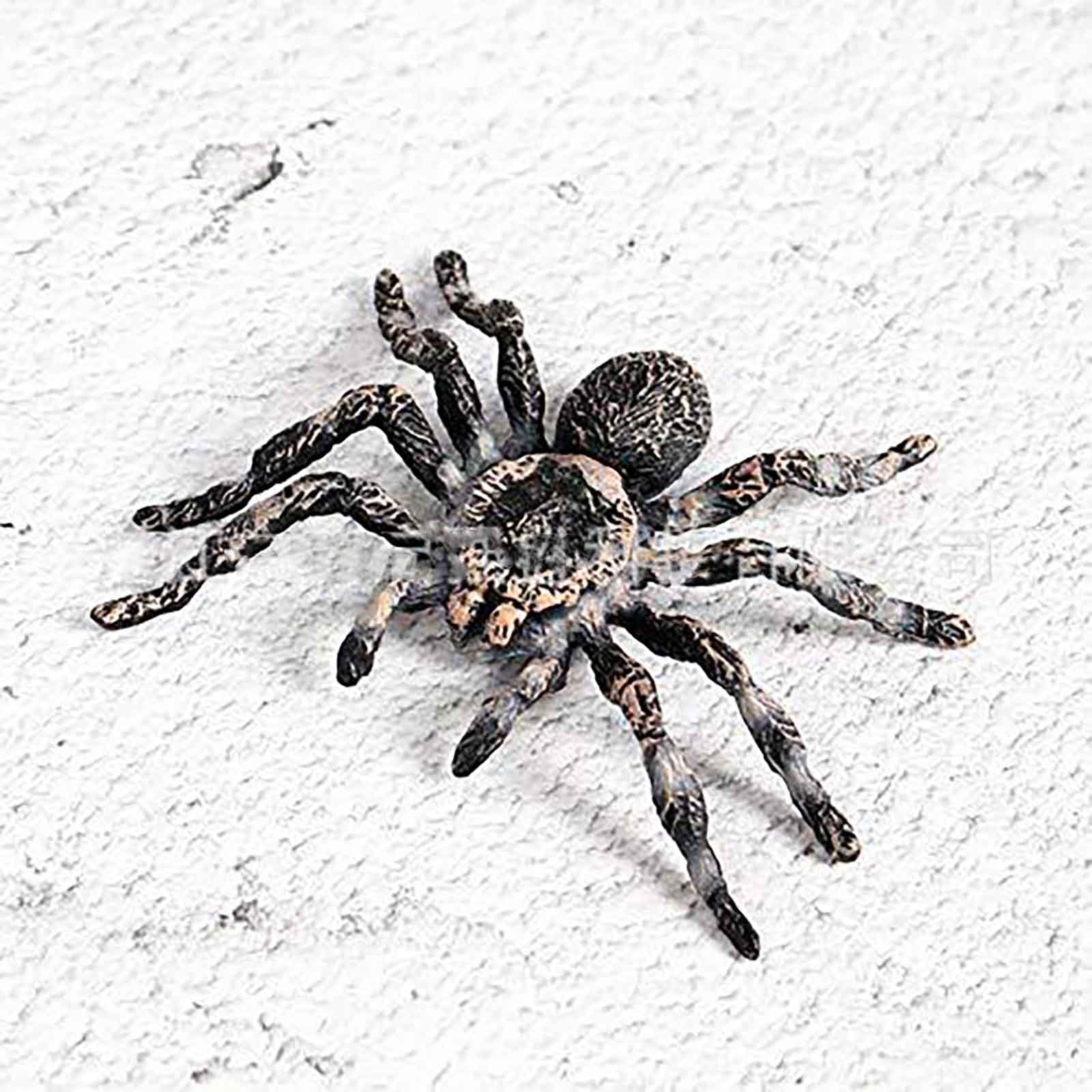 Lifelike Spider Action Model Insect Toy for Kids and Home Decorations ...