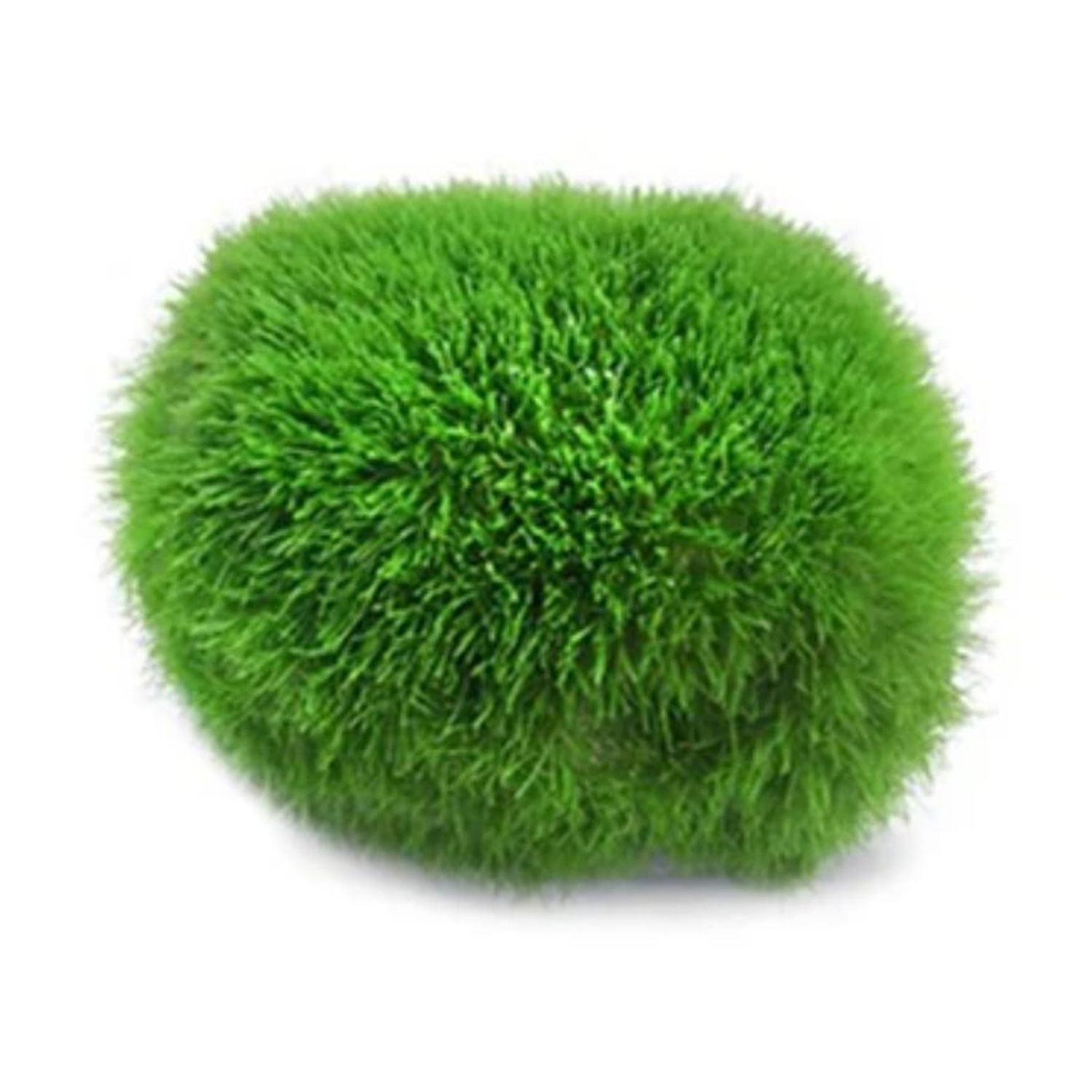 Lifelike Vivid Green Marimo Moss Balls - Realistic 3-4cm Vibrant Live ...