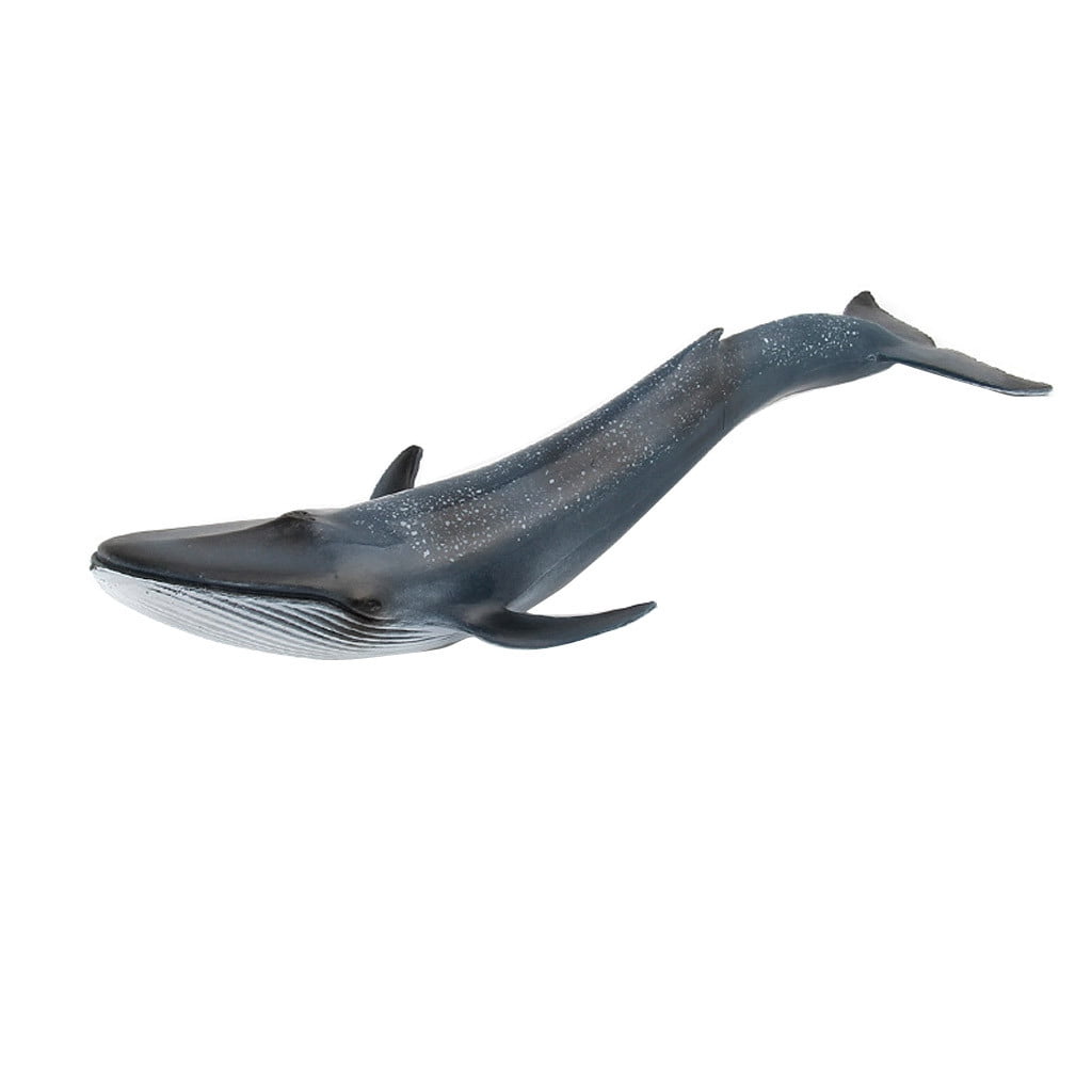 Lifelike Whales Shaped Toy Realistic Motion Animal Model for Kids ...