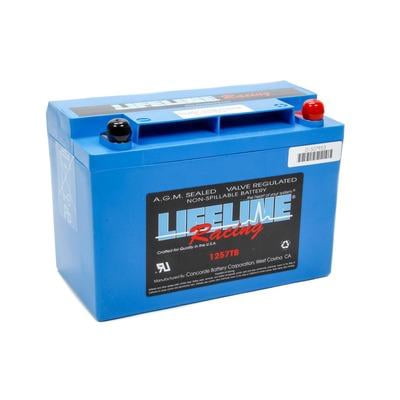 Lifeline Battery