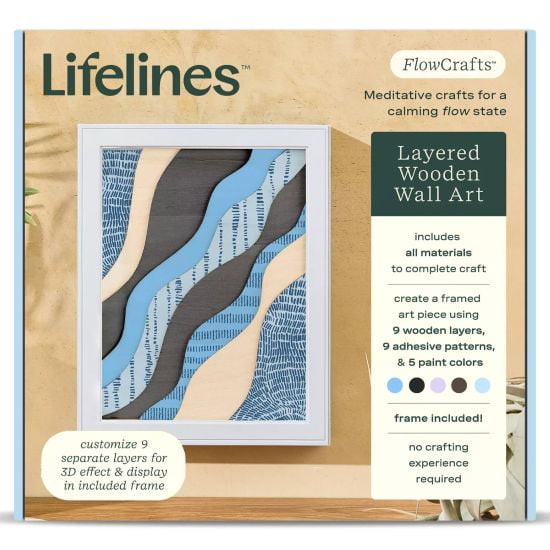 Lifelines FlowCrafts 9 Piece Wooden Wall Hanging Frame Making Kit with ...
