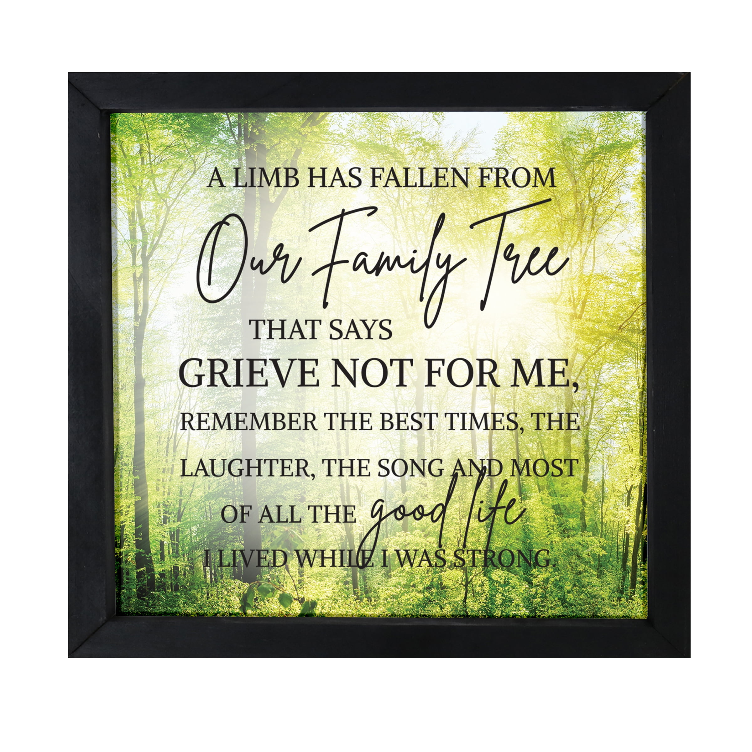 Lifesong Milestones Framed Shadow Decor for Home, Funeral, & Memorial ...