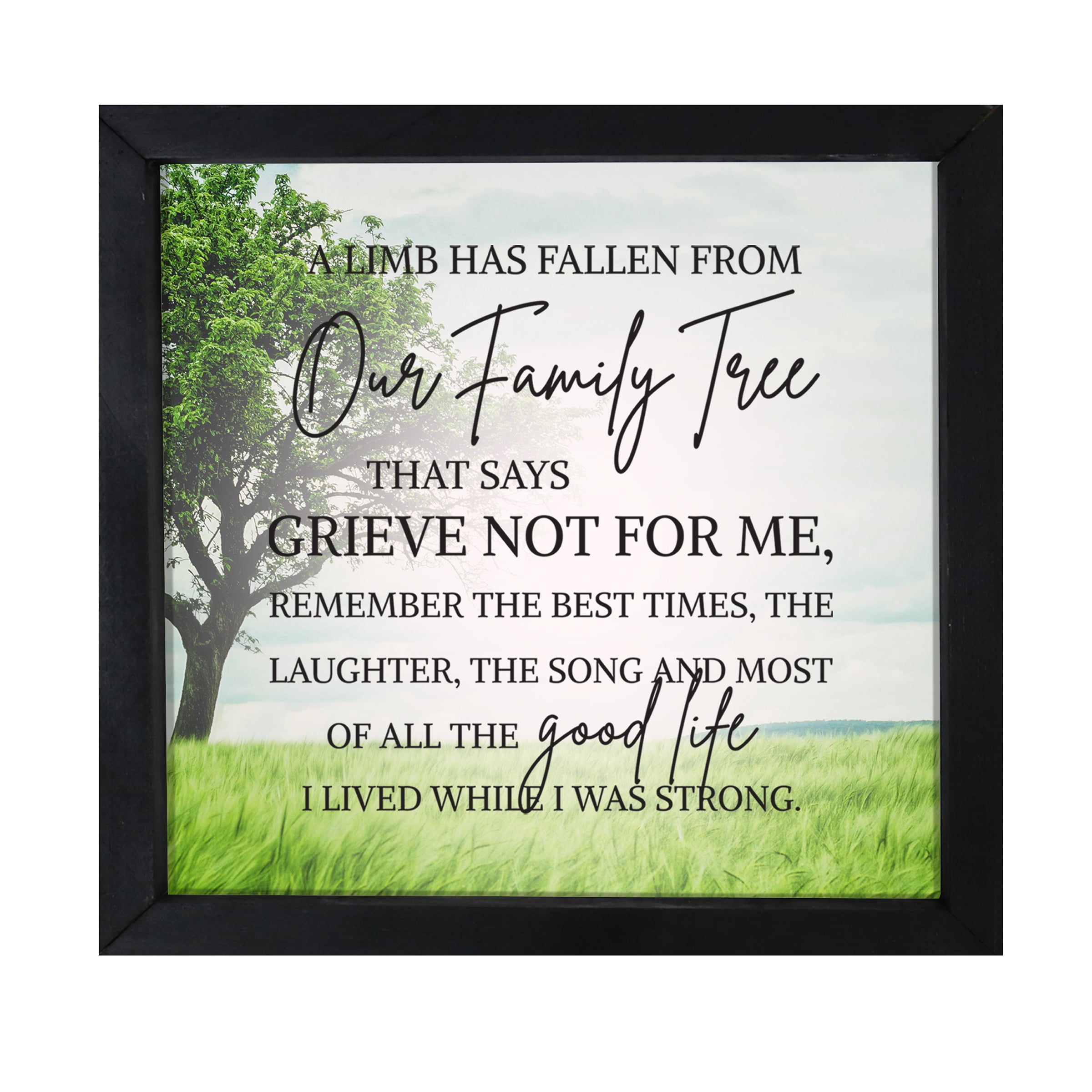 Lifesong Milestones Framed Shadow Decor for Home, Funeral, & Memorial ...