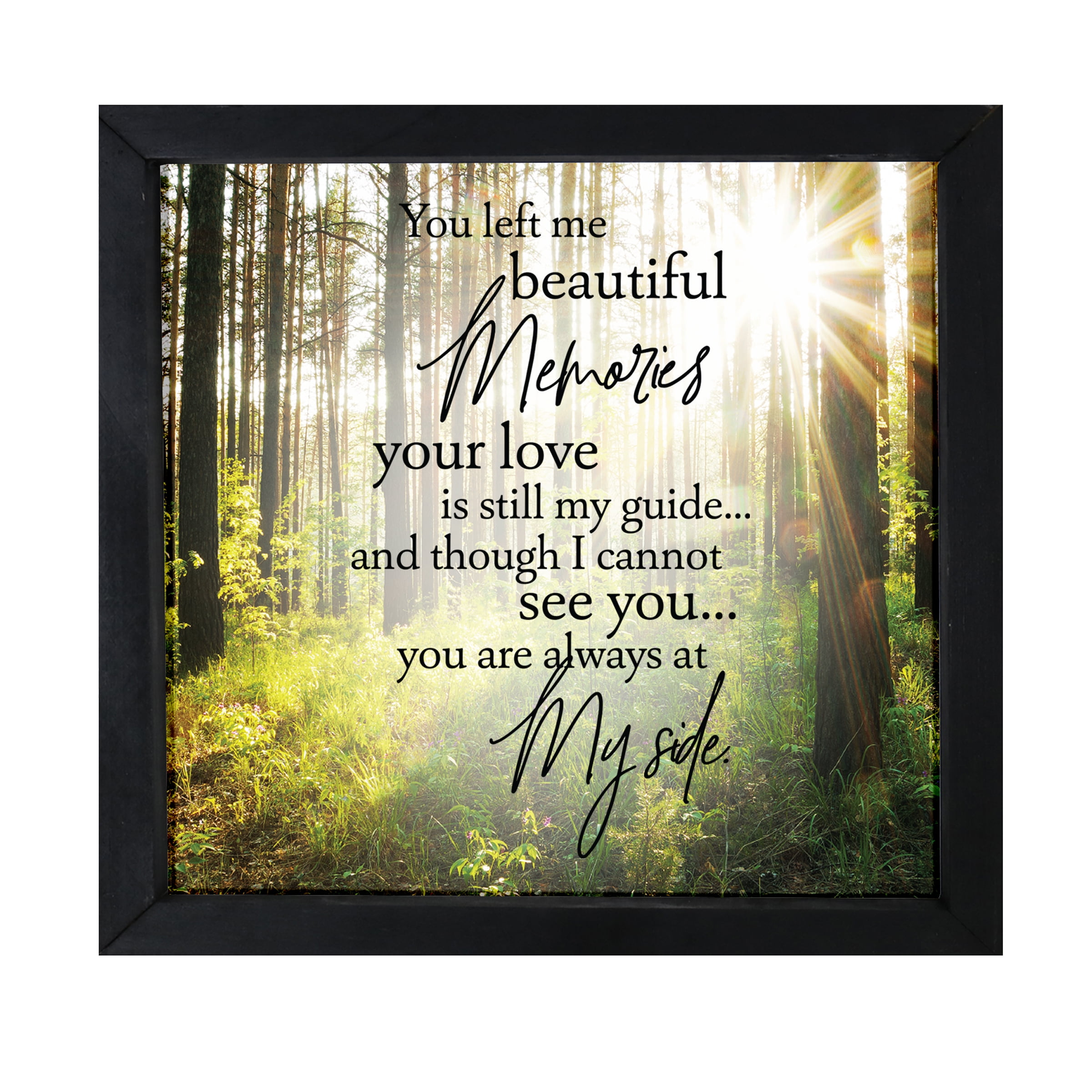 Lifesong Milestones Framed Shadow Decor for Home, Funeral, & Memorial ...
