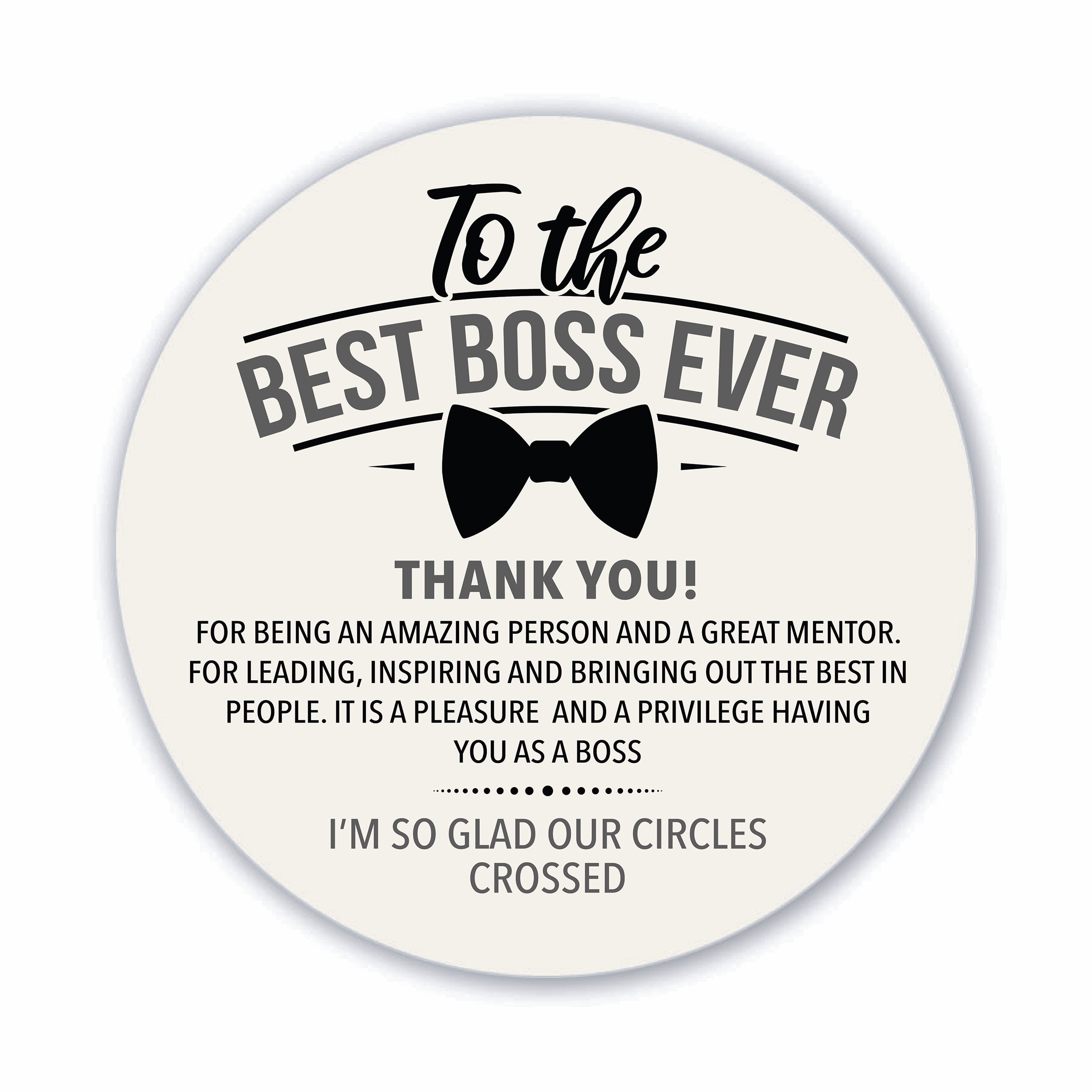 Lifesong Milestones Refrigerator Magnets Gifts for Boss, Mentor ...