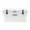 RTIC 65 QT Heavy-Duty Ultra-Tough Rotomolded Ice Chest Cooler, Lagoon ...