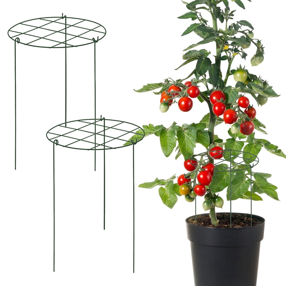 Lifeup Indoor Plant Trellis Stable 3 Pieces Iron Plant Support ...