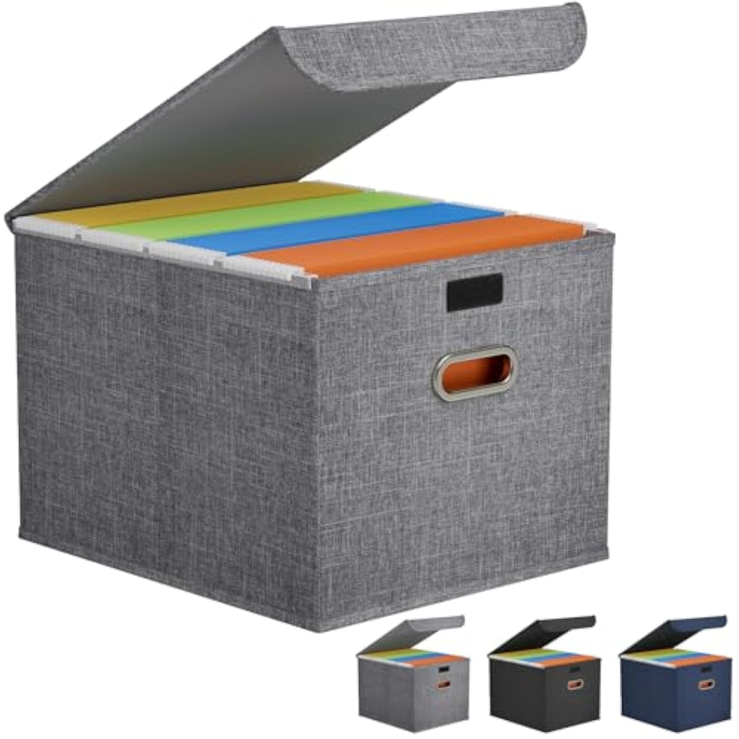 Lifewit File Organizer Box with Lids, Portable Storage File Boxes with ...