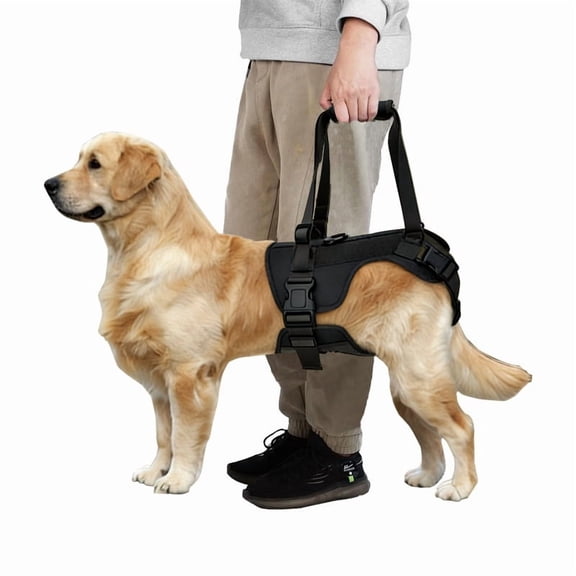Back Leg Harnesses Dogs